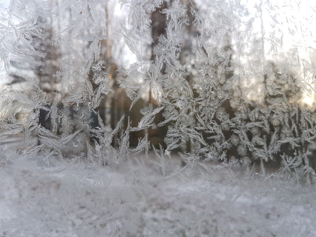 -22 Fahrenheit is too cold | Mom of Finland